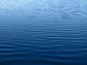 Work Parties - Intertype Angling Society