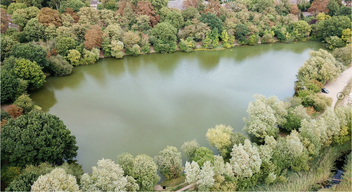 Colnbrook Front Lake - Intertype Angling Society