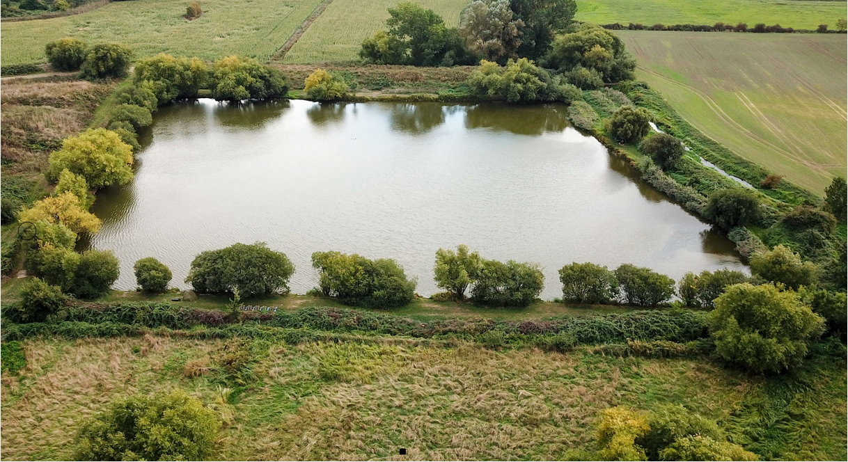 Colnbrook Back Lake - Intertype Angling Society